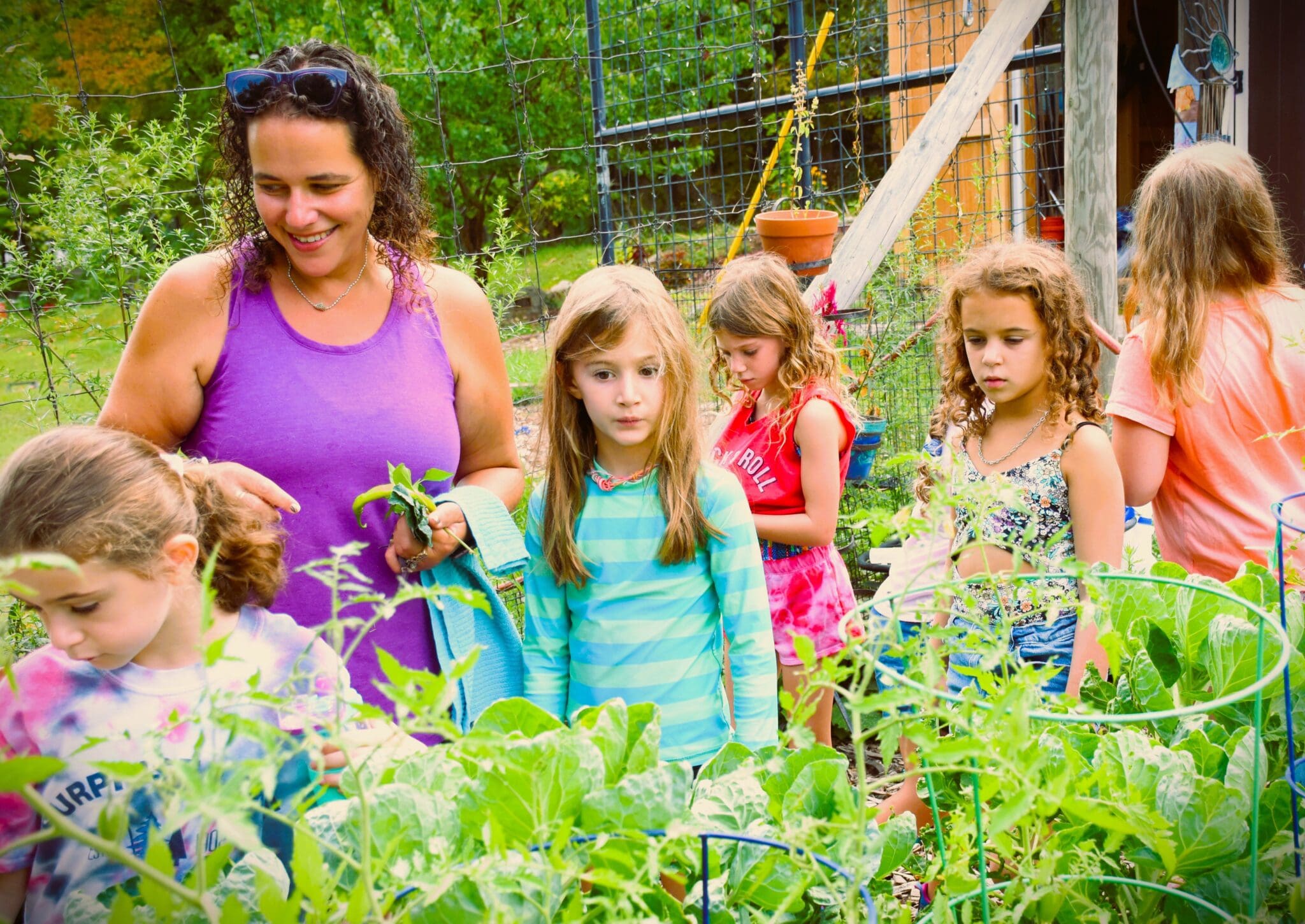 Top 6 Reasons to Unplug at Surprise Lake Camp - Surprise Lake Camp